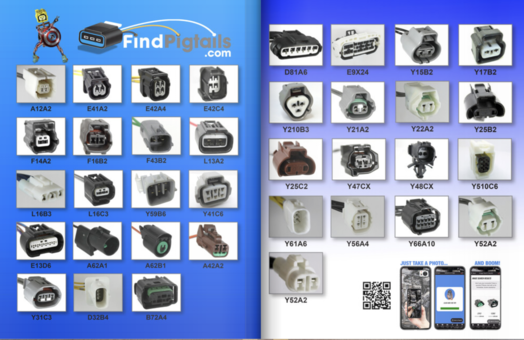 10 Top Pigtails – FindPigtails.com